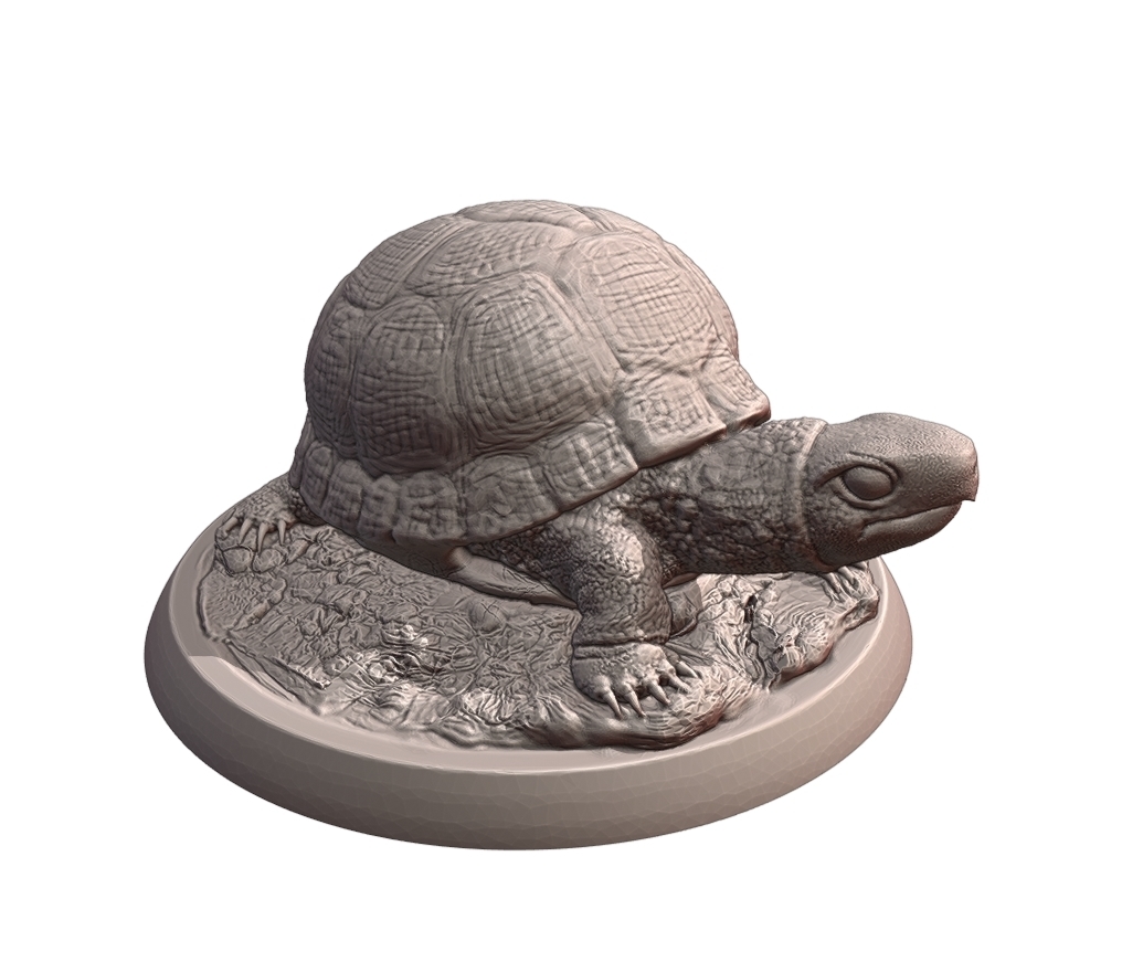 🐢 Turtle・ STL File for ・Cults